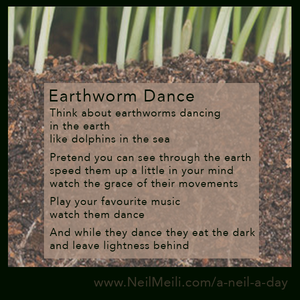 Earthworm Dance – Neil Meili