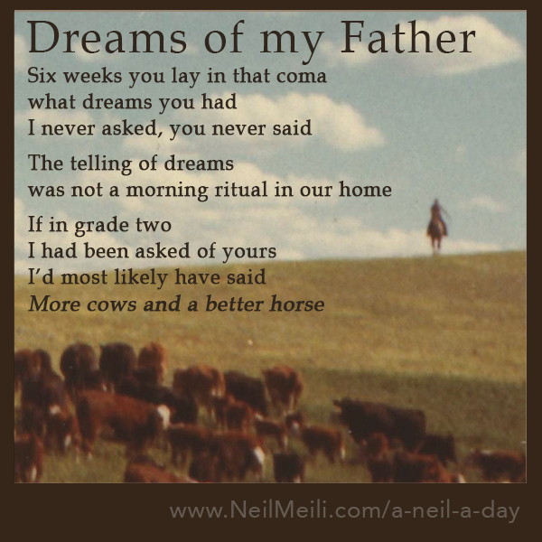 Dreams of My Father – Neil Meili
