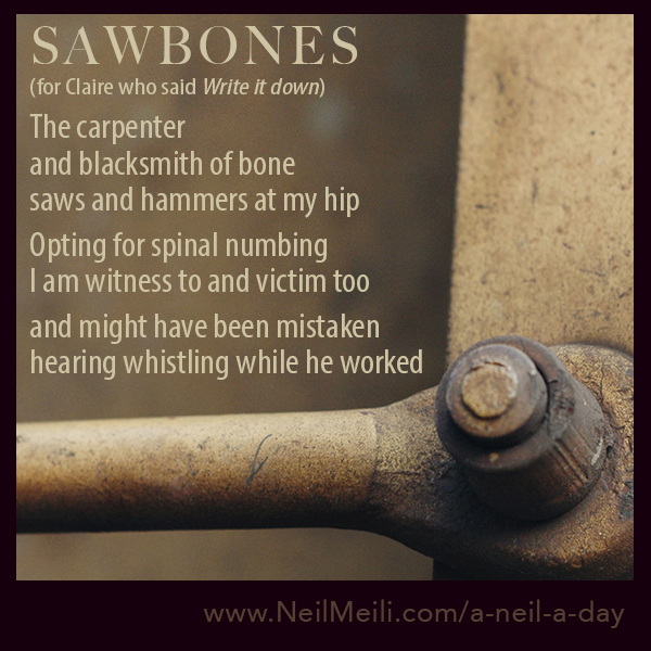 Sawbones – Neil Meili