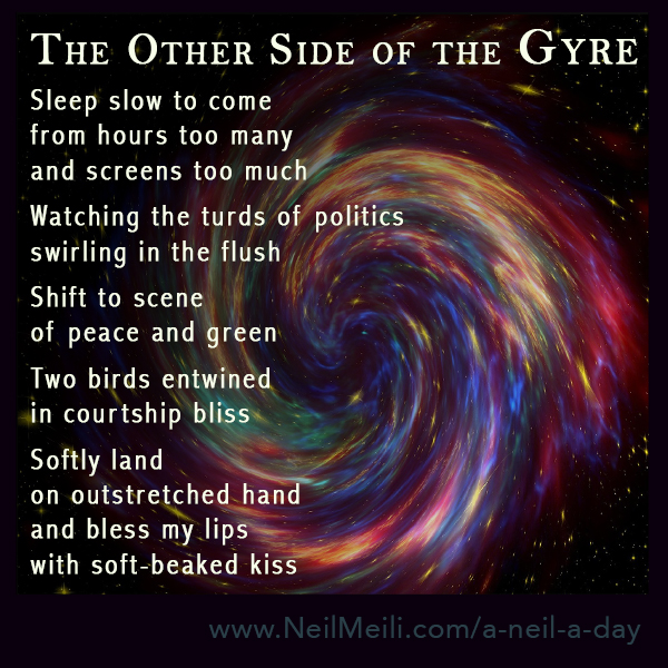 The Other Side of the Gyre – Neil Meili