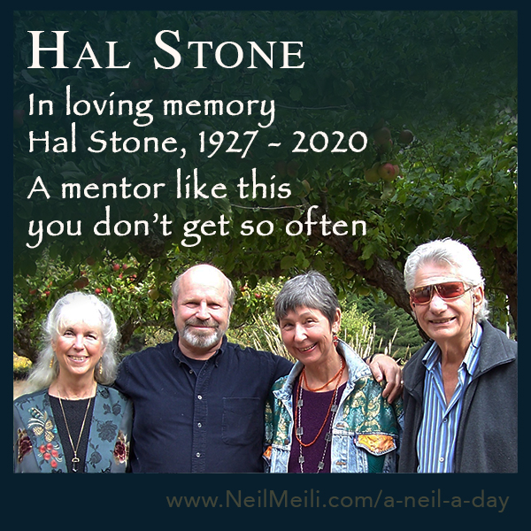 Hal Stone – Neil Meili