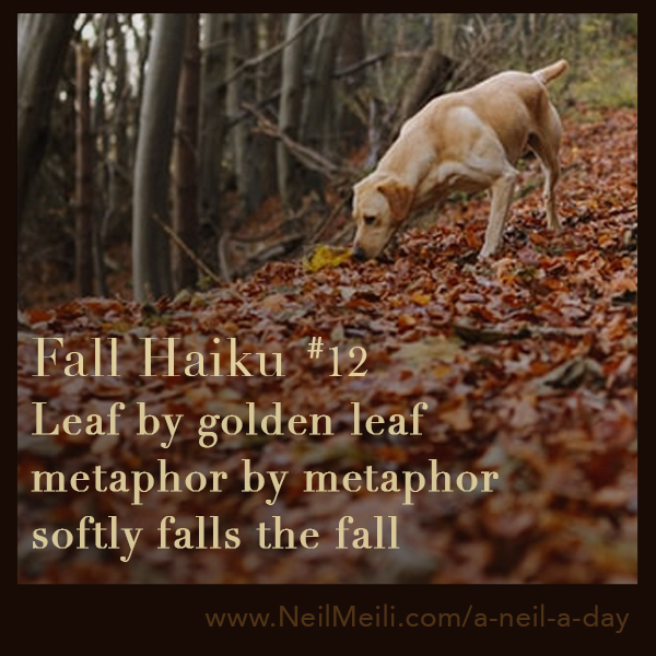 Fall Haiku #12 – Neil Meili