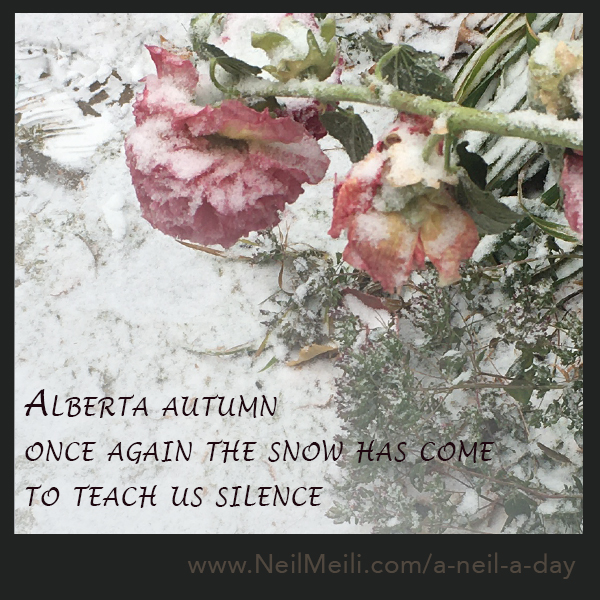 Alberta Autumn – Neil Meili