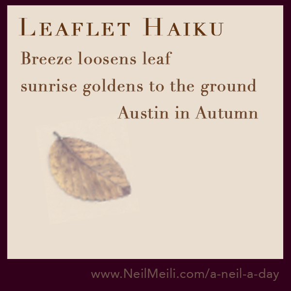Leaflet Haiku – Neil Meili