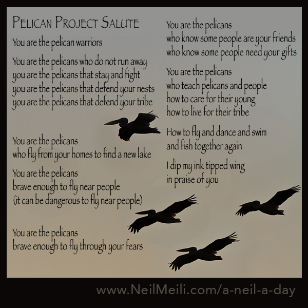 Pelican Project Salute – Neil Meili