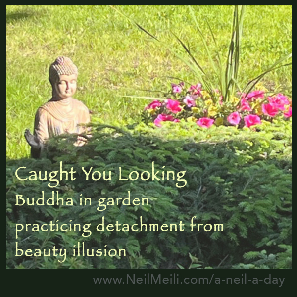 Caught You Looking – Neil Meili
