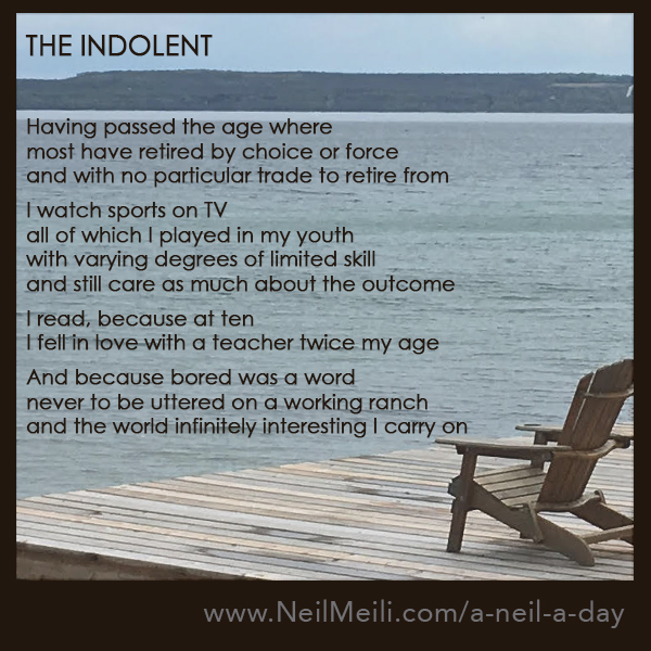 The Indolent – Neil Meili