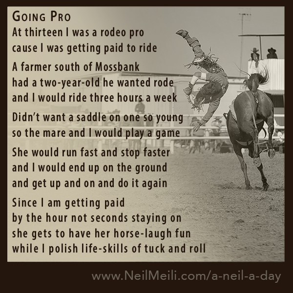 Going Pro – Neil Meili