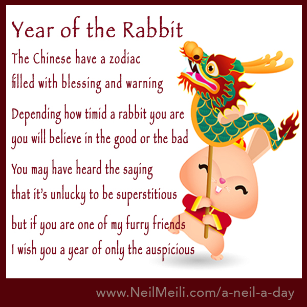 Year of the Rabbit – Neil Meili