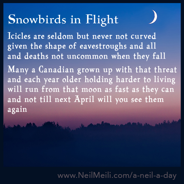 Snowbirds in Flight – Neil Meili