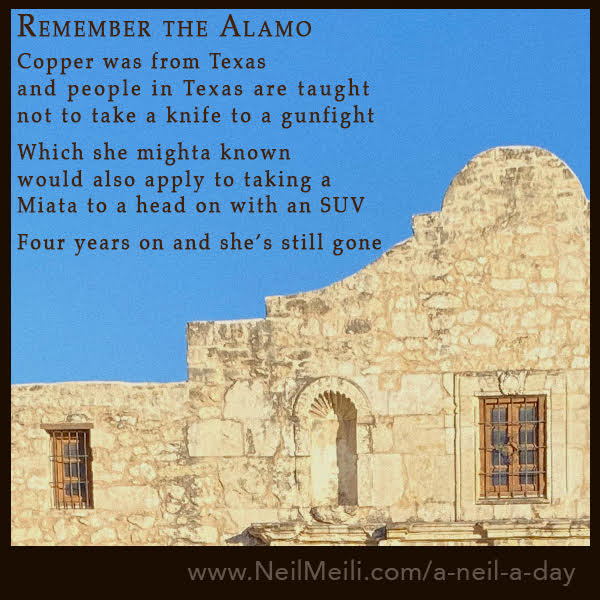 Remember the Alamo – Neil Meili