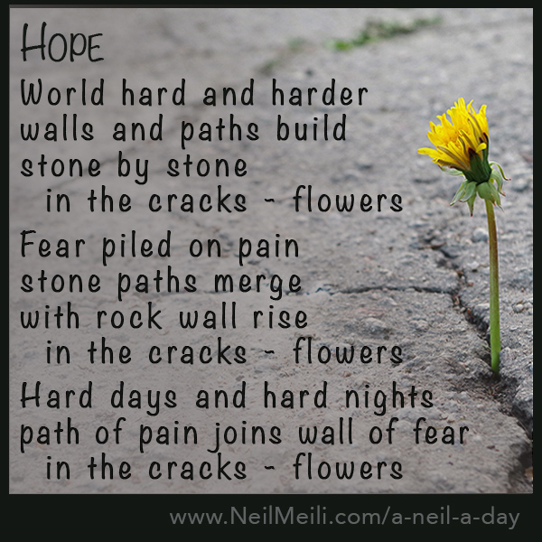Hope – Neil Meili