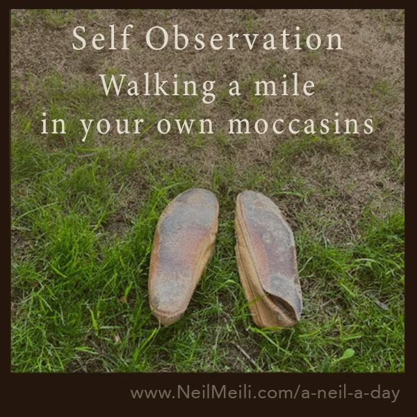 Self Observation – Neil Meili