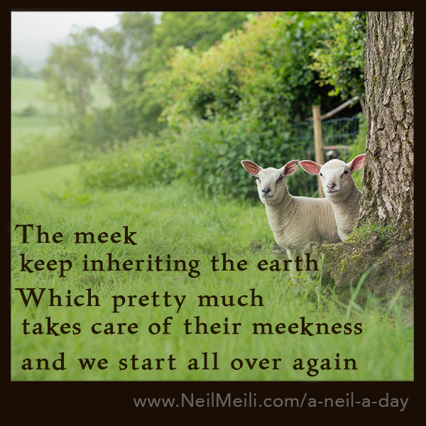 The Meek – Neil Meili