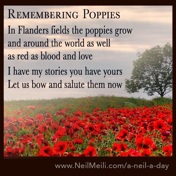 Remembering Poppies – Neil Meili