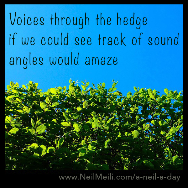Voices Through the Hedge – Neil Meili