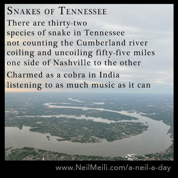 Snakes of Tennessee – Neil Meili
