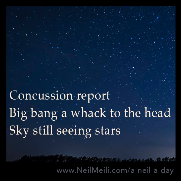 Concussion Report – Neil Meili